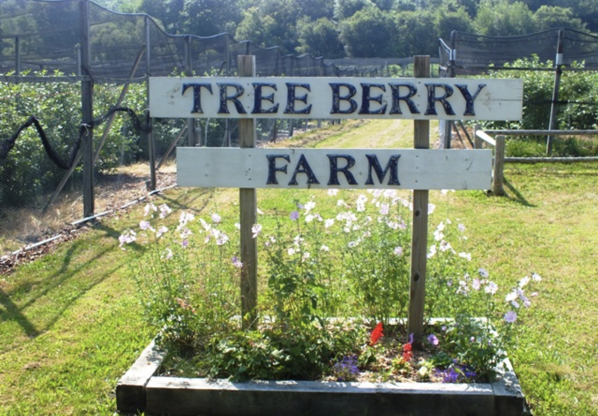 Tree-Berry Farm - Scituate Visitors Center